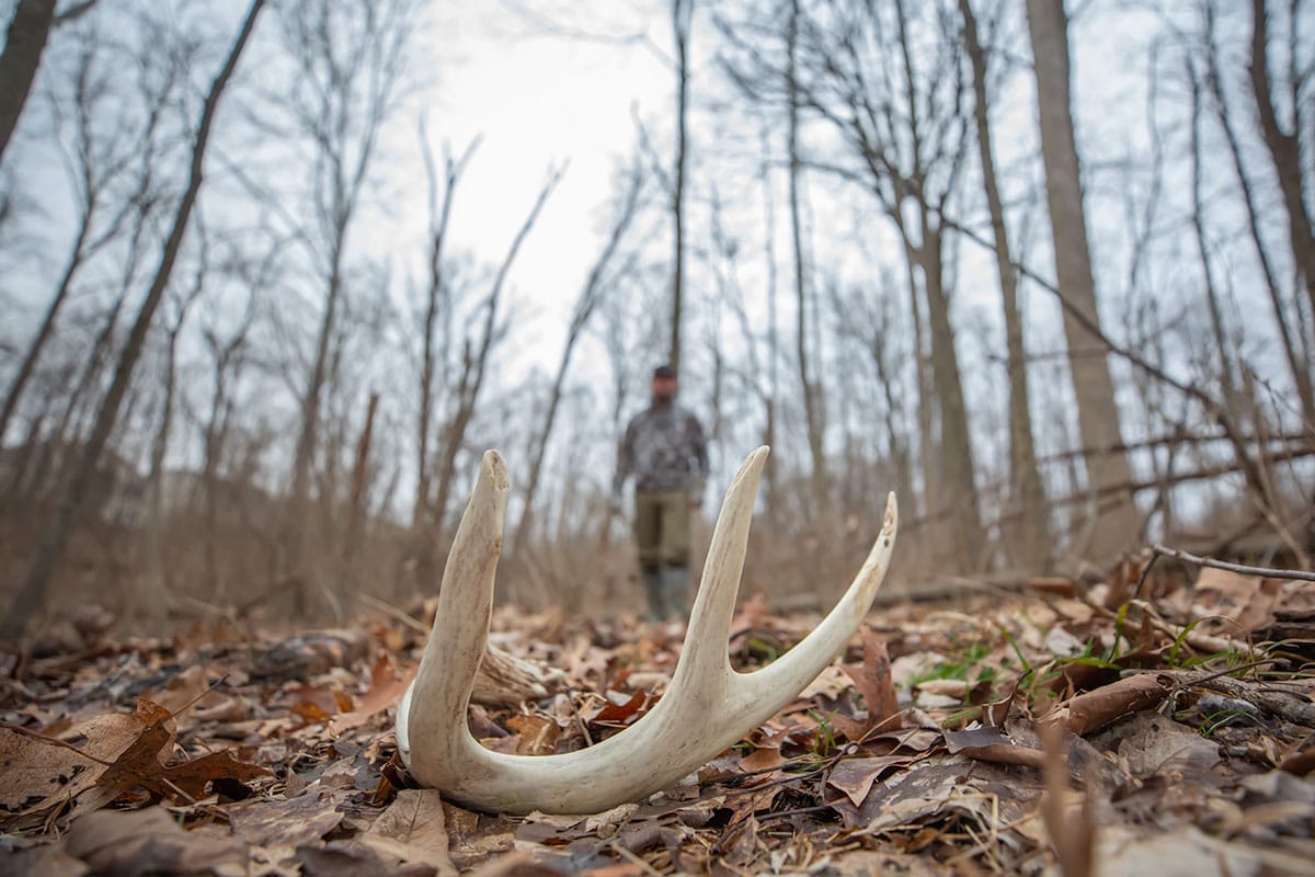Shed Hunting Tips | SELFILMED .com | #SELFILMED